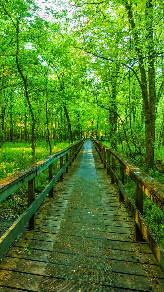 Wander often, wonder more - Natchez Trace Parkway, Tupelo, Mississippi ...