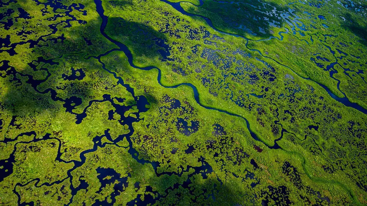 顺流而行 - 大沼泽地国家公园 - Daily Bing Wallpaper - DailyBing.com