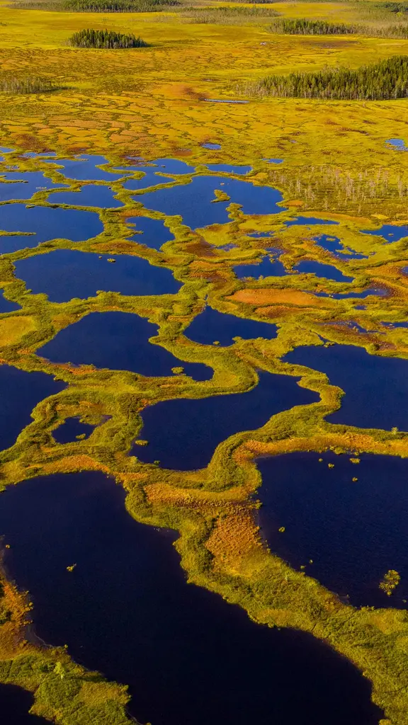 Aerial view of peatland in Martimoaapa Mire Reserve, Finland ...