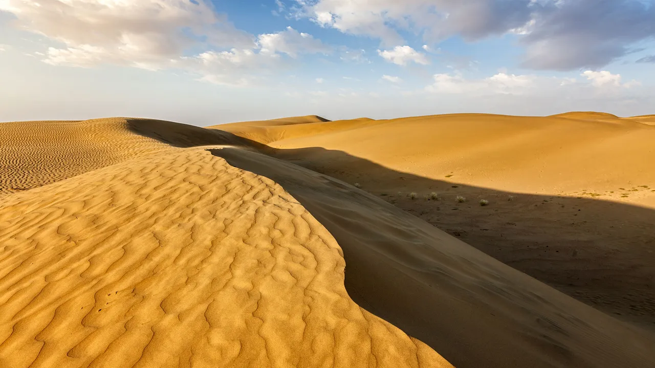 Sands of time in the Thar - Sand dunes in the Thar Desert, Rajasthan ...