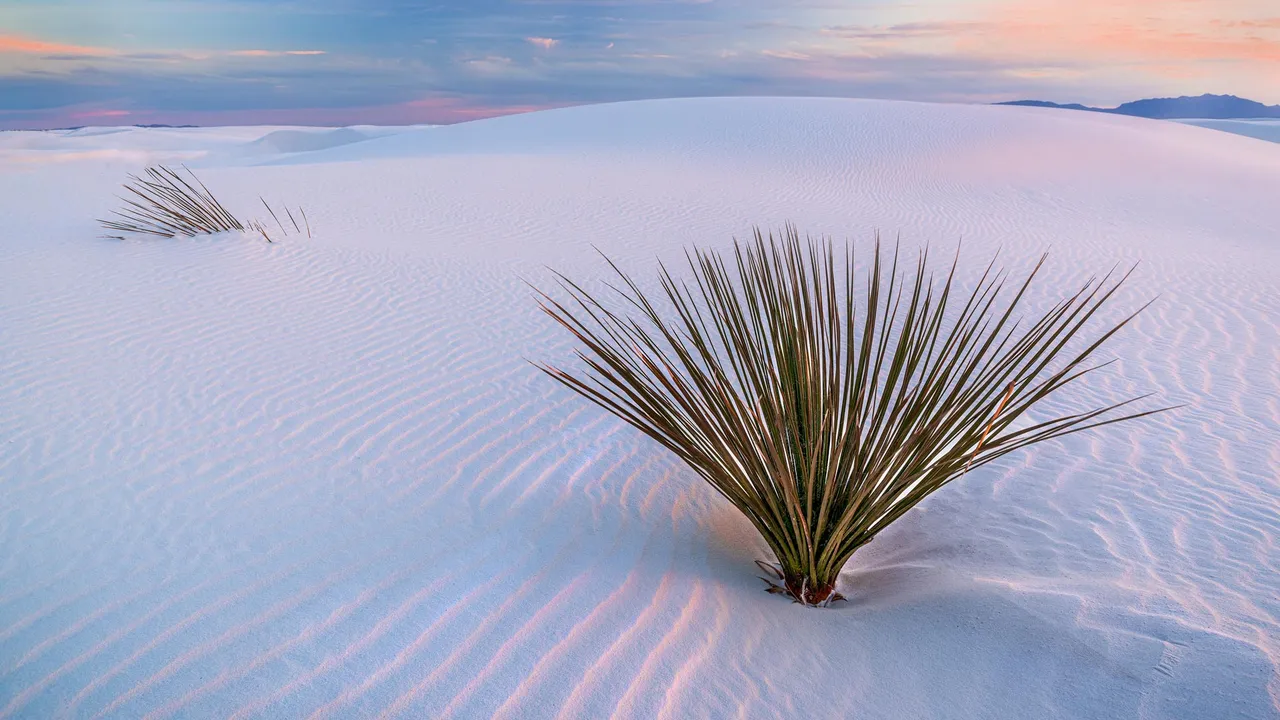 White Sands National Park, New Mexico, United States - White Sands ...